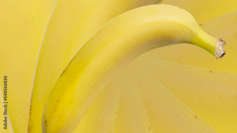Seamless loop zooming Bananas background. Exotic fruit in seamless loop ...