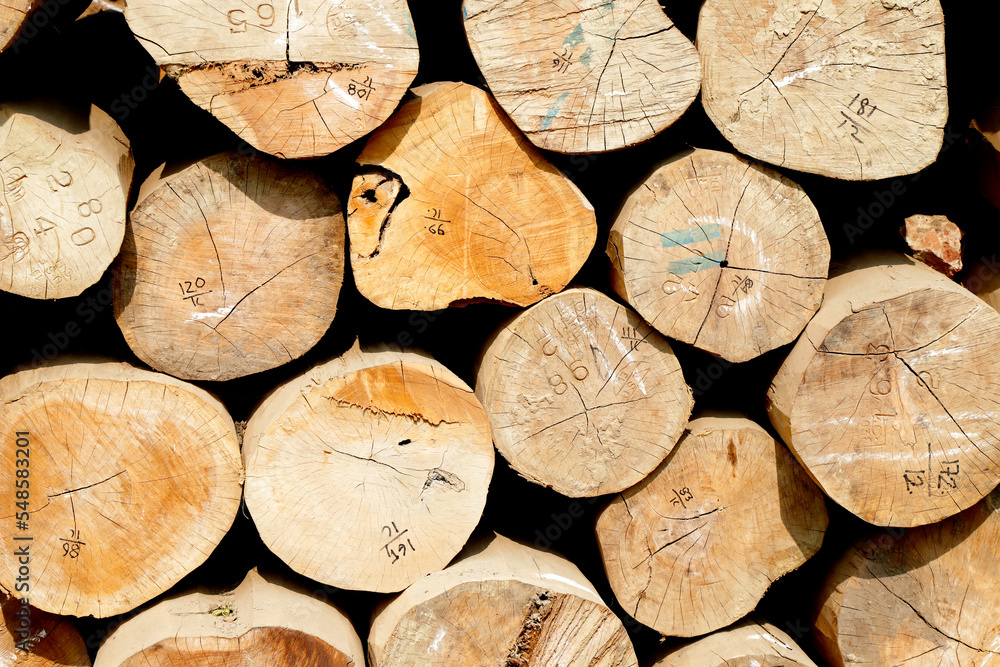 Pile of cut timber background, wood texture background Stock Photo ...