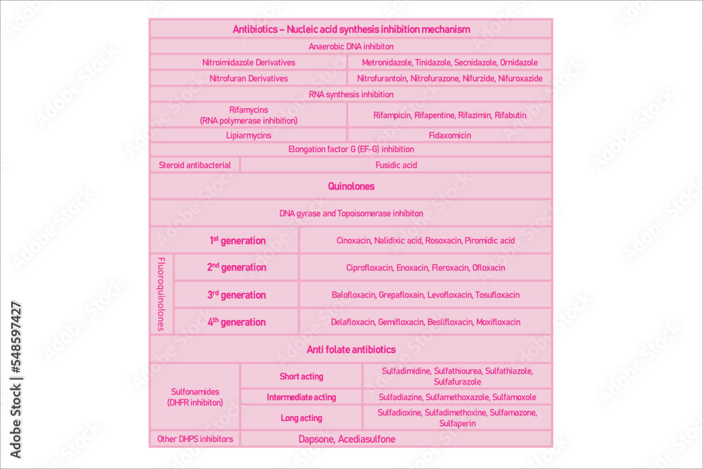 Table showing classification of Nucleic acid synthesis inhibition with ...