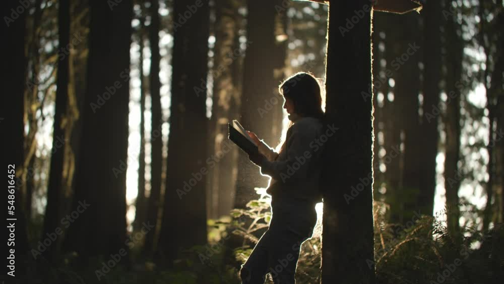 Girl reading book in forest at golden hour, backlit vídeo do Stock ...