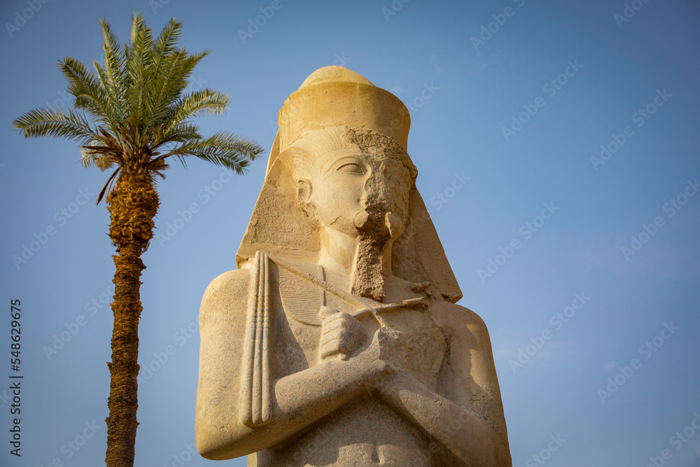 Egypt, Luxor, Pharaoh statue and palm tree at Temple of Karnak Stock ...