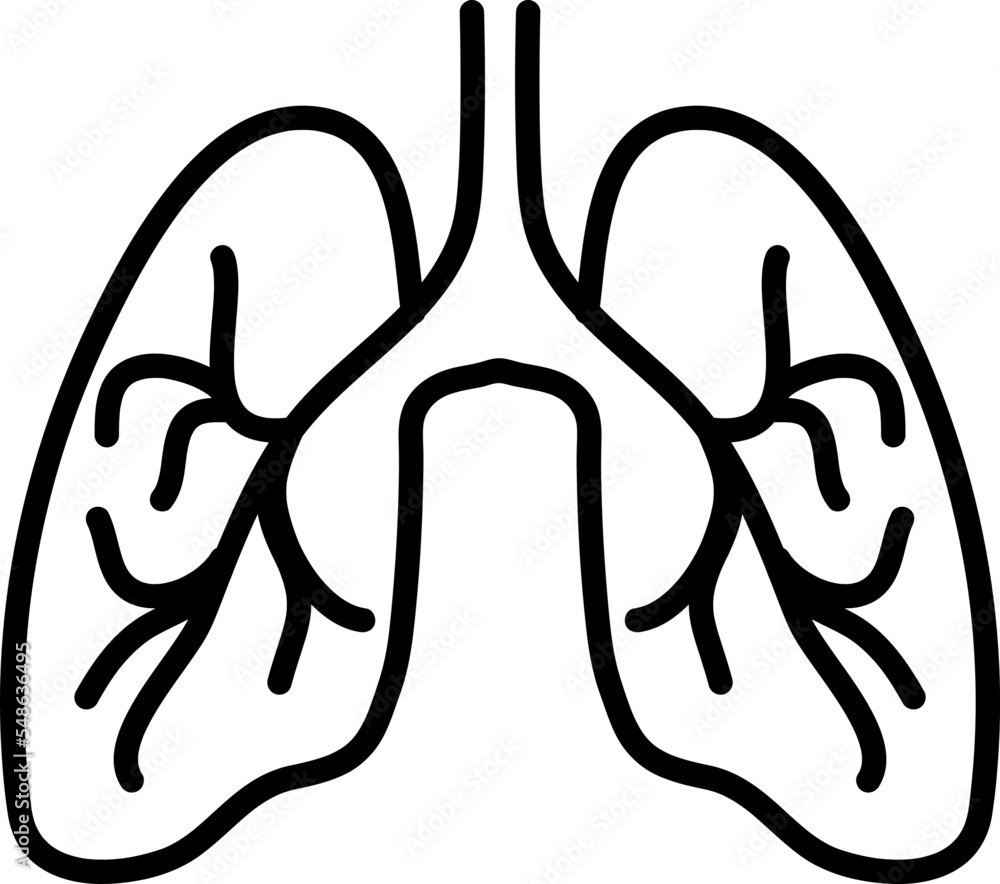 Human lungs outline icon on white background. Editable stroke on white ...