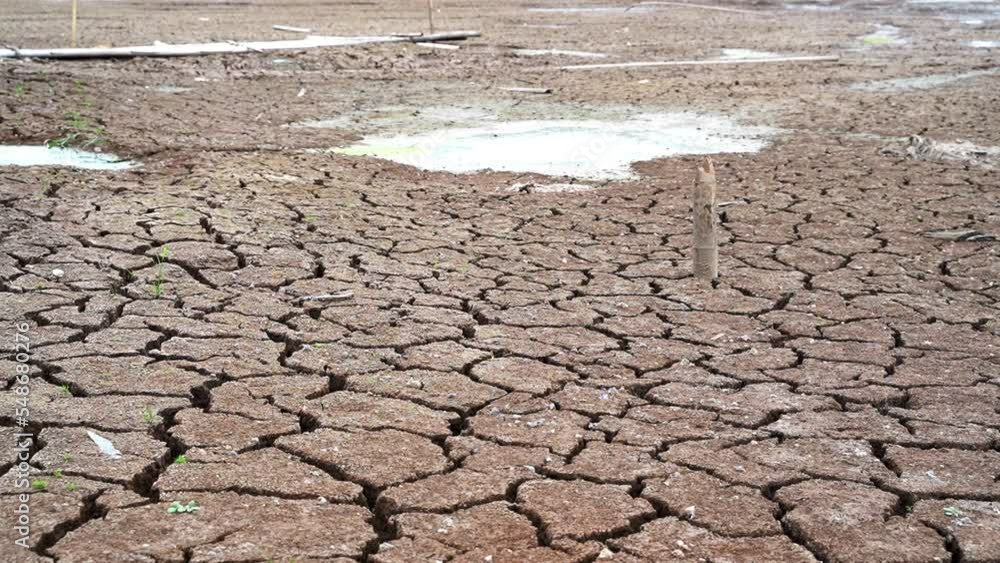 The cracks soil texture are global climate change and drought. time ...
