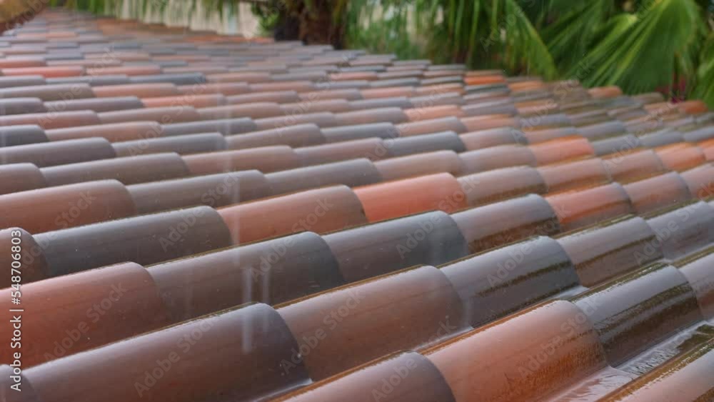 Wet top roof closeup with palm trees in rainy weather. Rain water flows ...