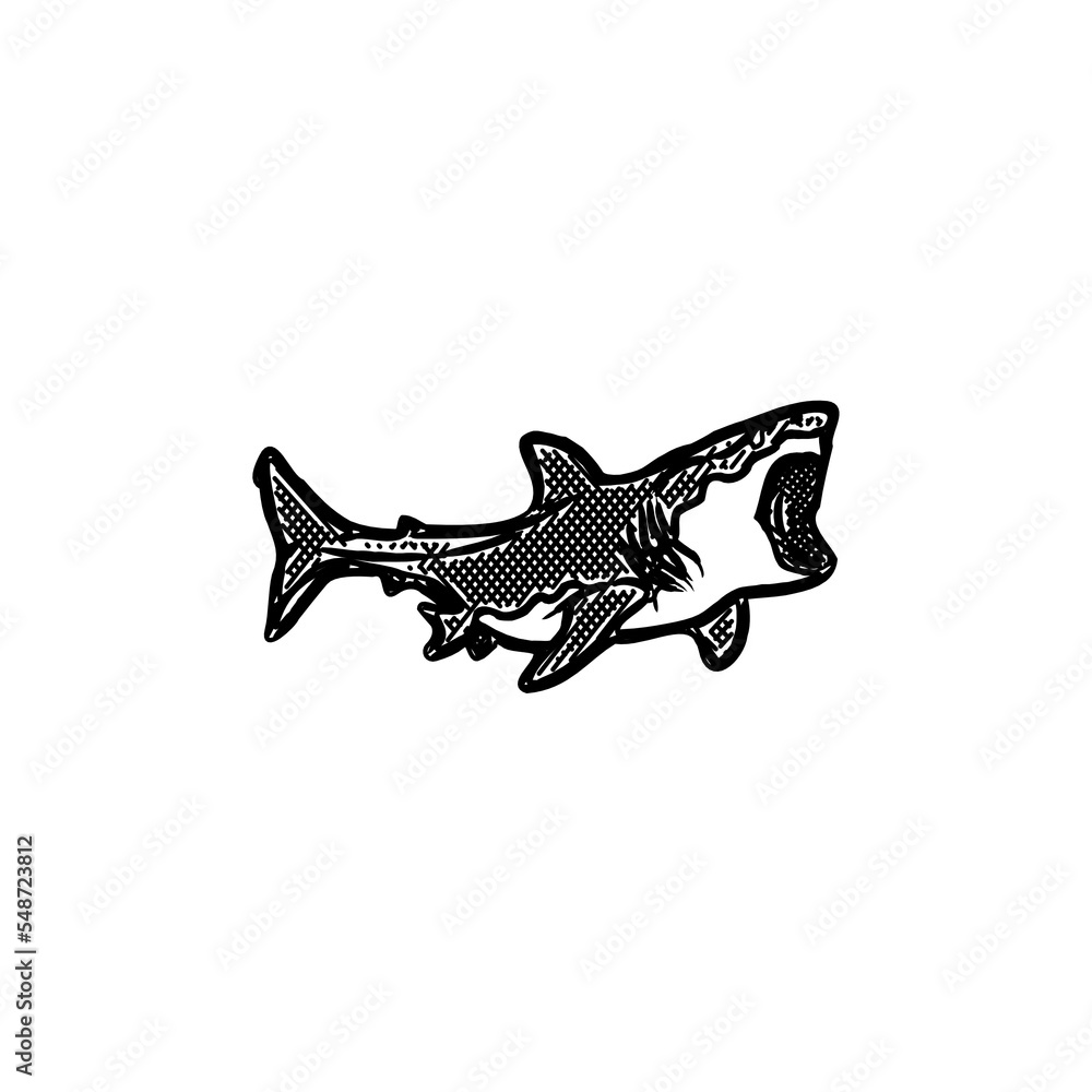 sketch, fish, drawing, illustration, shark, ocean, water, animal ...