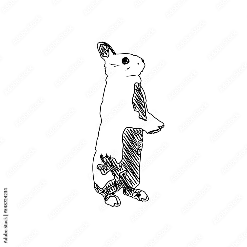 black and white drawing sketch of rabbit with transparent background ...