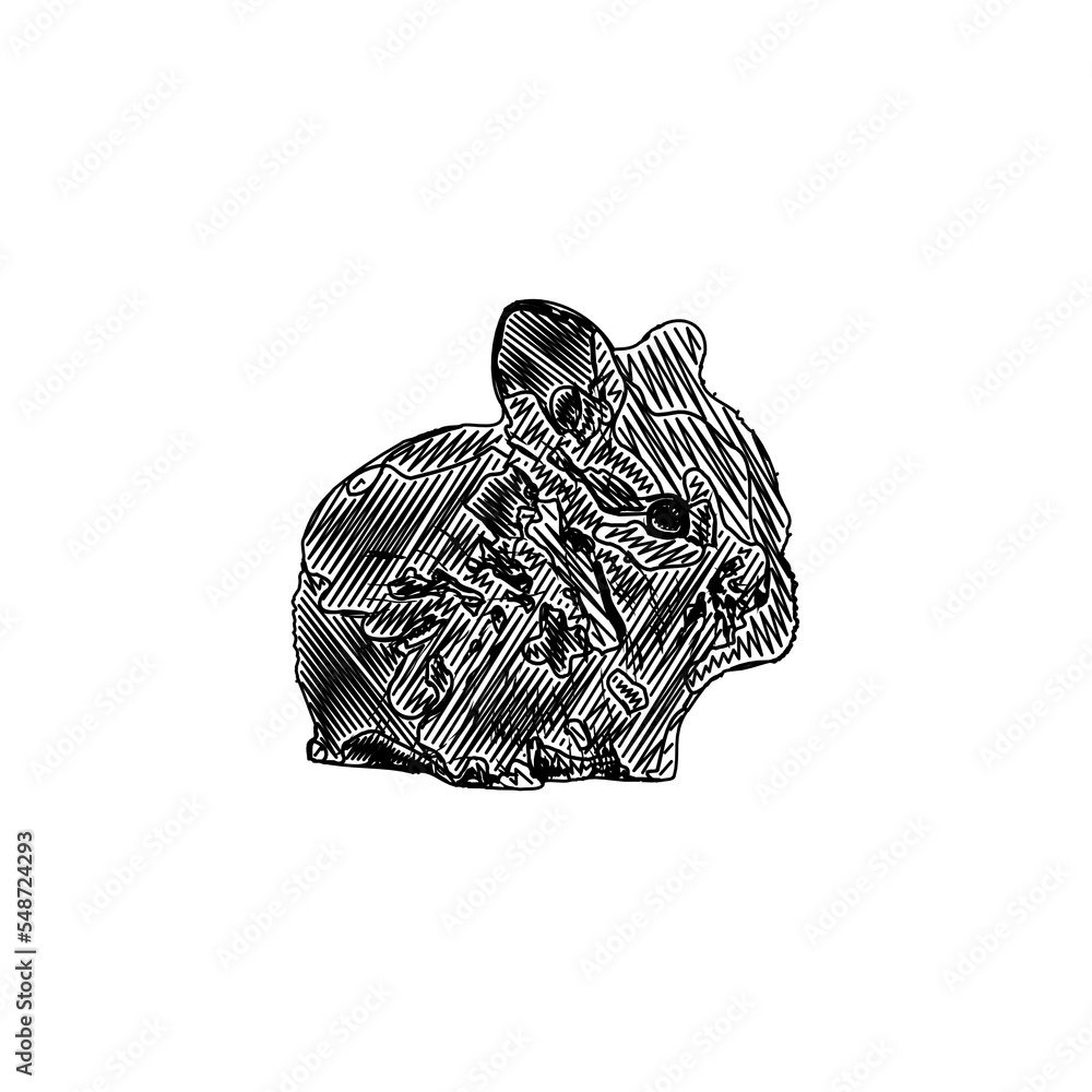 black and white drawing sketch of rabbit with transparent background ...