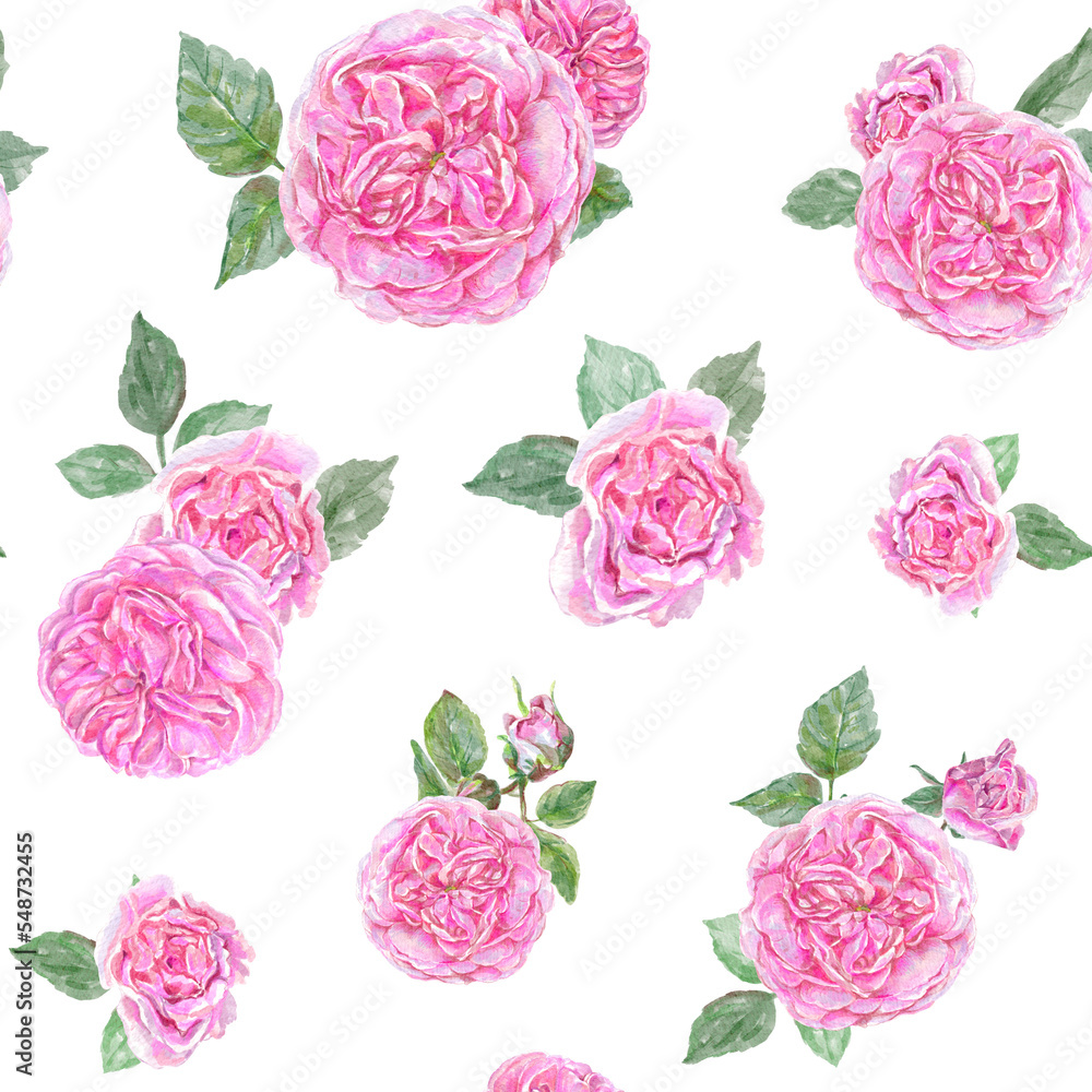 Vintage watercolor pink tea roses on transparent background - seamless ...