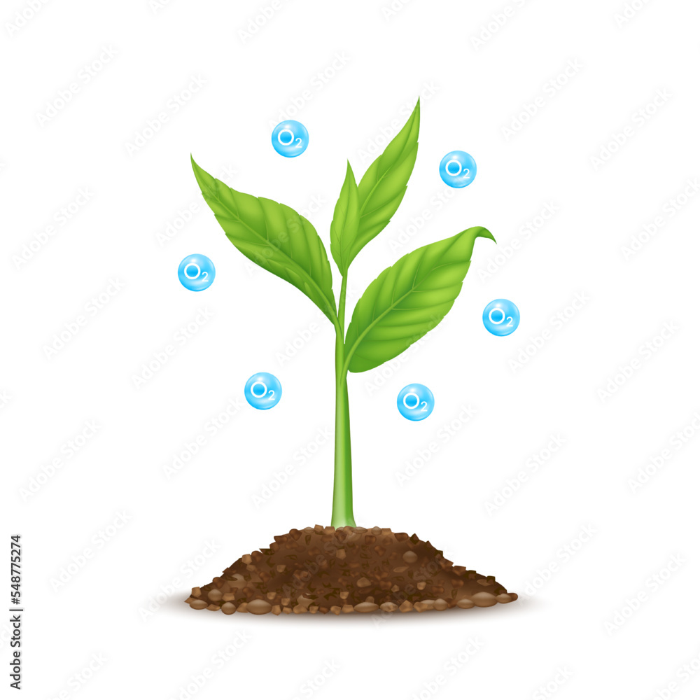 Seedling with leaf green grows from seed and oxygen O2 blue natural gas ...