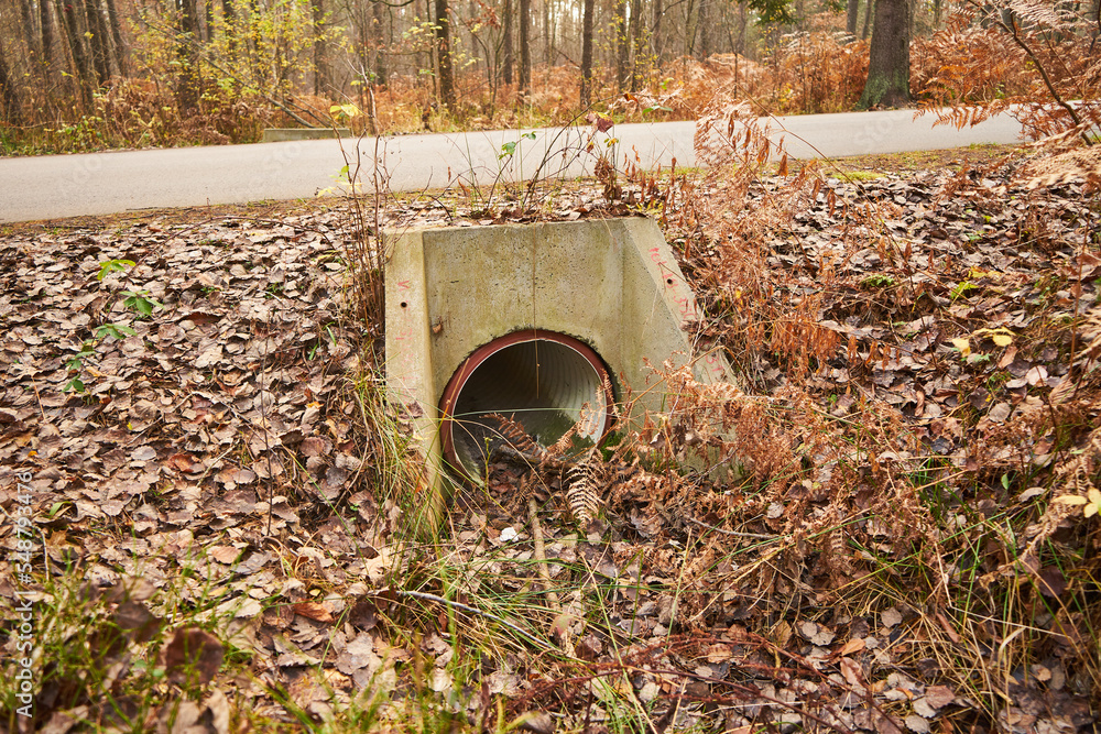 ciek wodny ,las ,betonowa konstrukcja Stock Photo | Adobe Stock