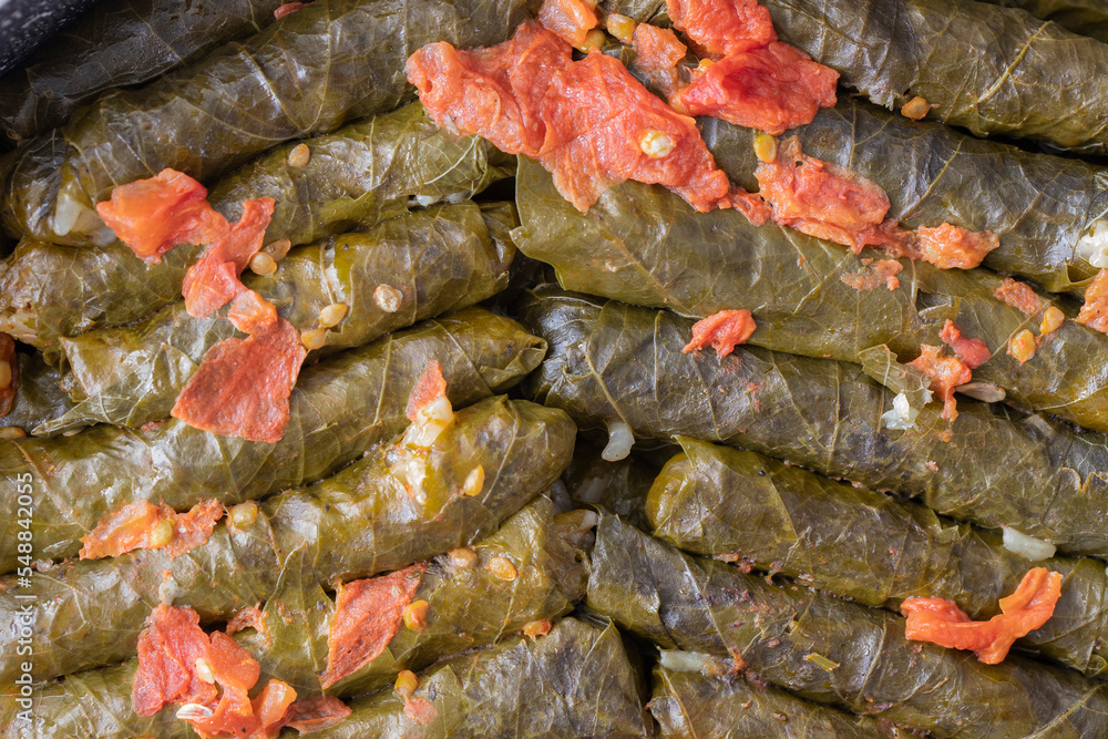 Delicious dolma (sarma) stuffed grape leaves rice, white yogurt sauce ...