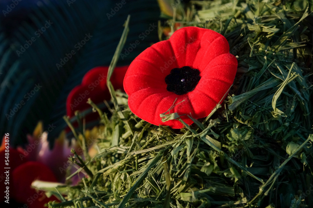 A vibrant red cloth remembrance day poppy is usually worn on the lapel ...