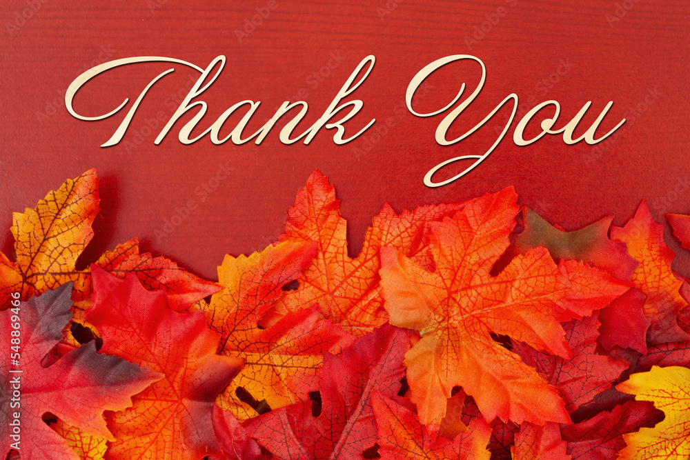 Thank you message with fall leaves Stock Photo | Adobe Stock