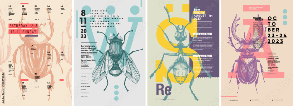 Insects. Beetle, fly, ant, stag beetle. Poster design. Set of vector ...