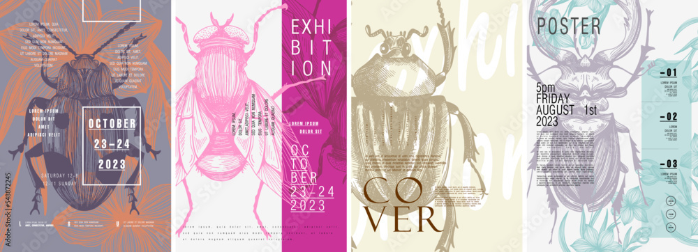 Insects. Beetle, fly, stag beetle. Poster design. Set of vector ...