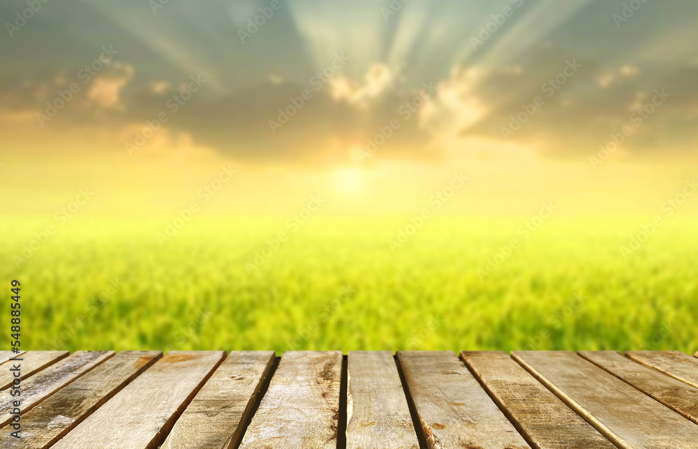 Wooden table top on blur rice field background in evening.Harvest rice ...