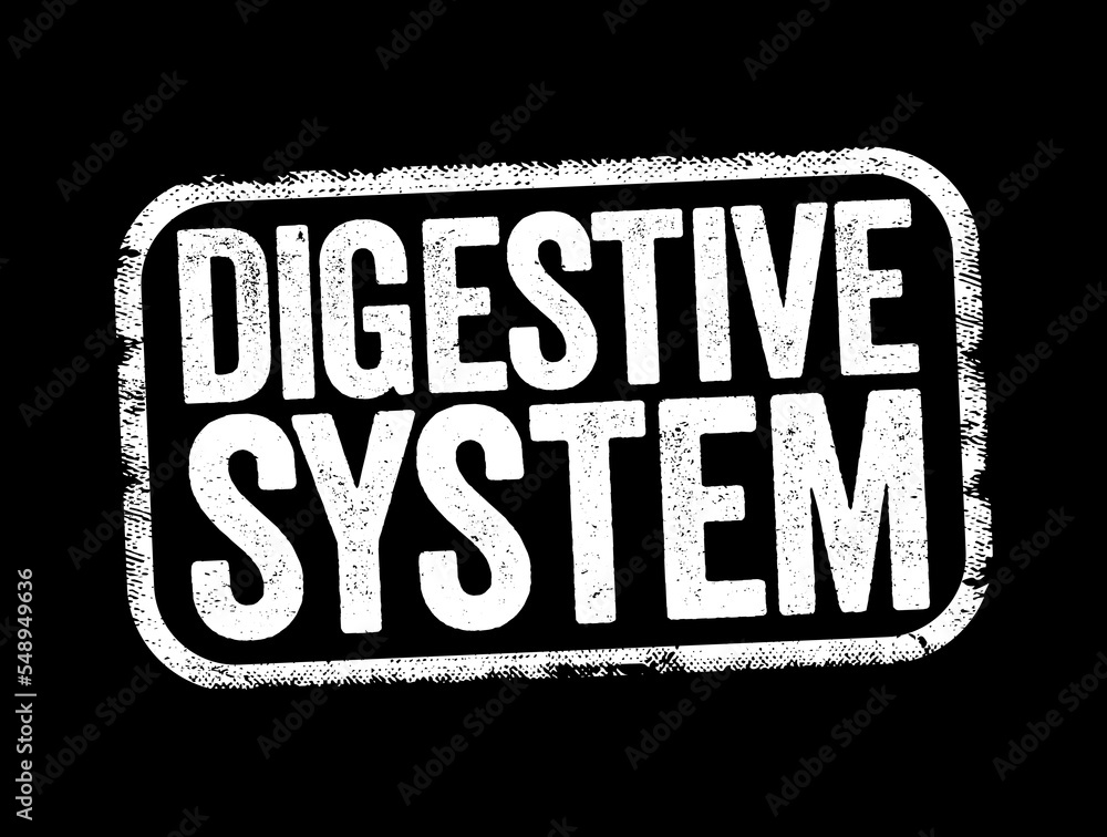 Digestive System consists of the gastrointestinal tract plus the ...