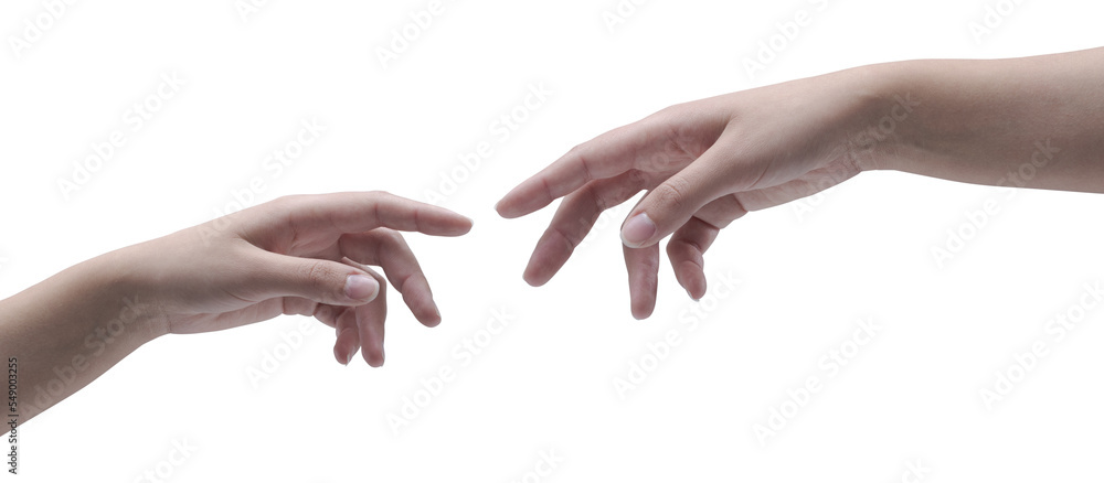 PNG file no background Female hands reaching each other Stock Photo ...