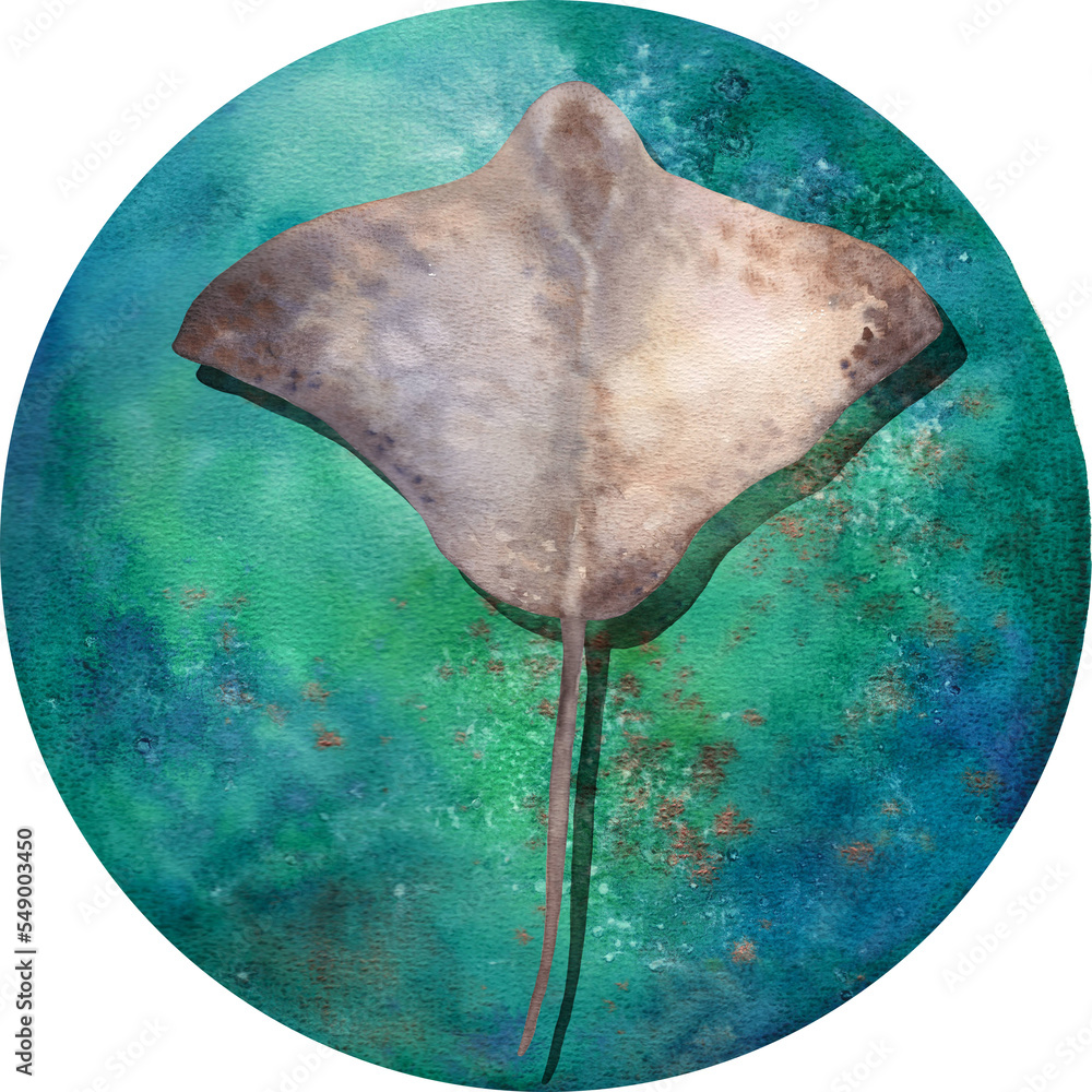 Watercolor Stingray Clipart, Ocean Animals Sublimation Round Stock ...