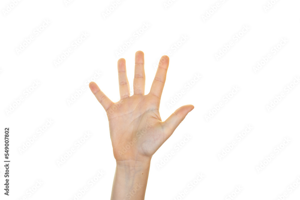 a counting hand isolated on transparent background, white background, a ...