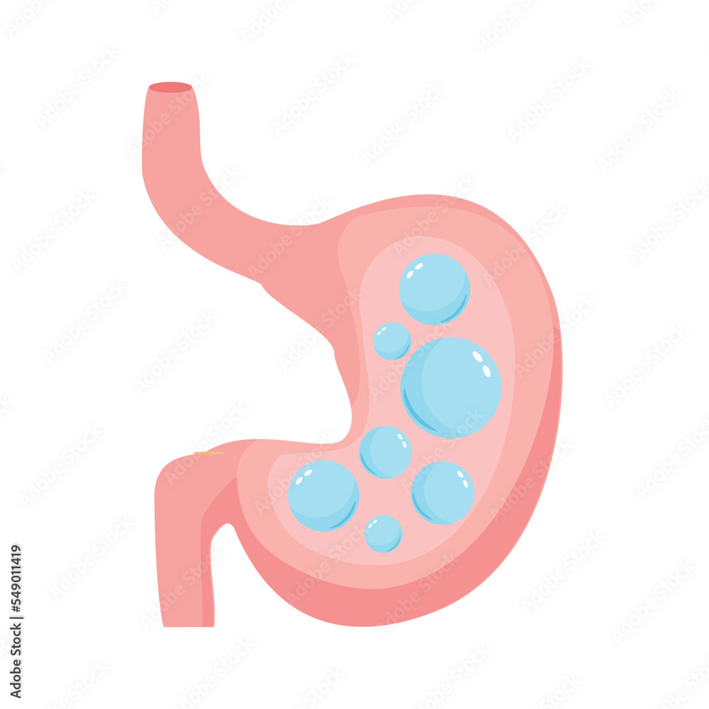 Belching gas human stomach. Internal organ, anatomy Stock Vector ...