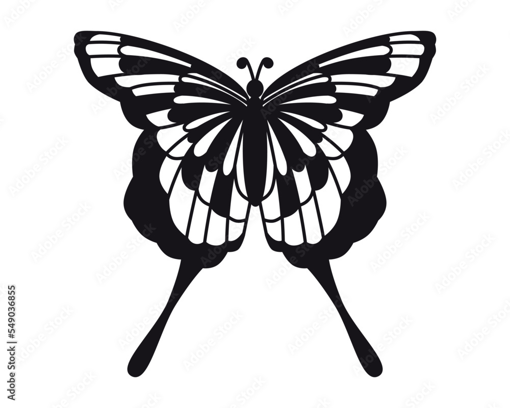 Butterfly. Vector drawing. Close-up. Used for web design Stock Vector ...
