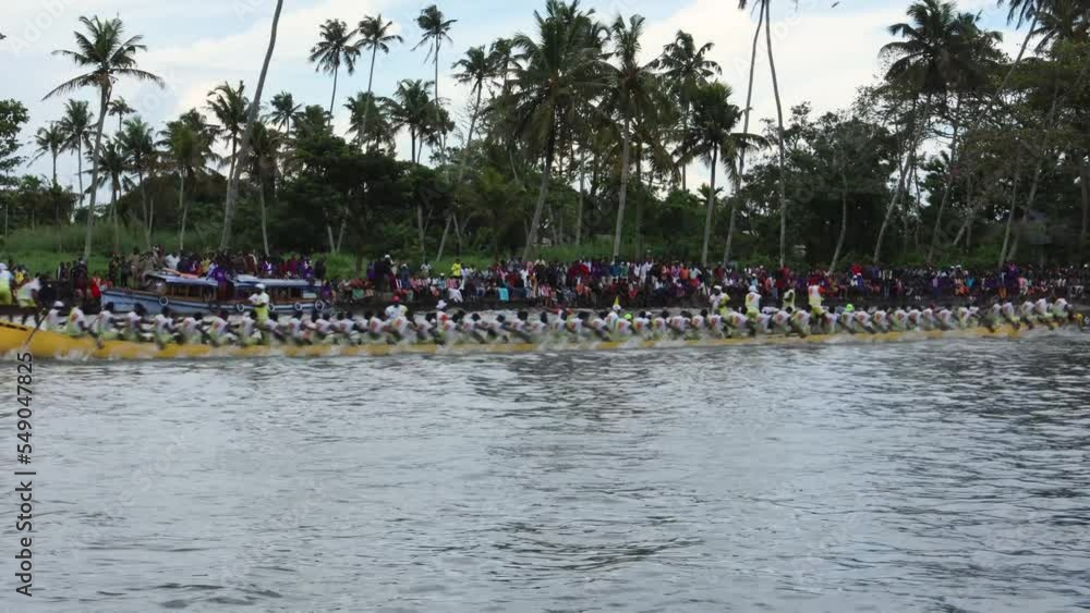 Snake Boat races of Kerala. People in traditional dress rowing the ...