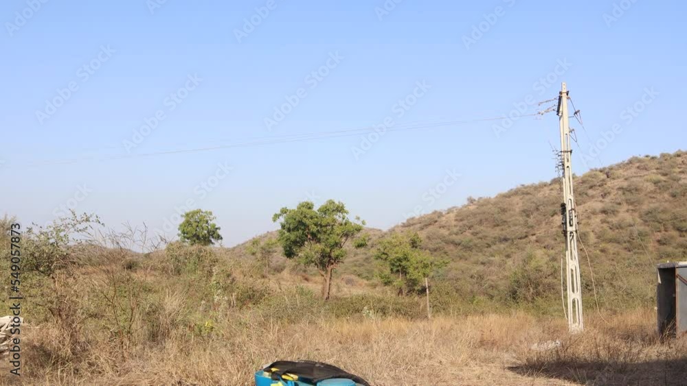 in girl forest clear blue sky in jungle. Electric equipment on power ...