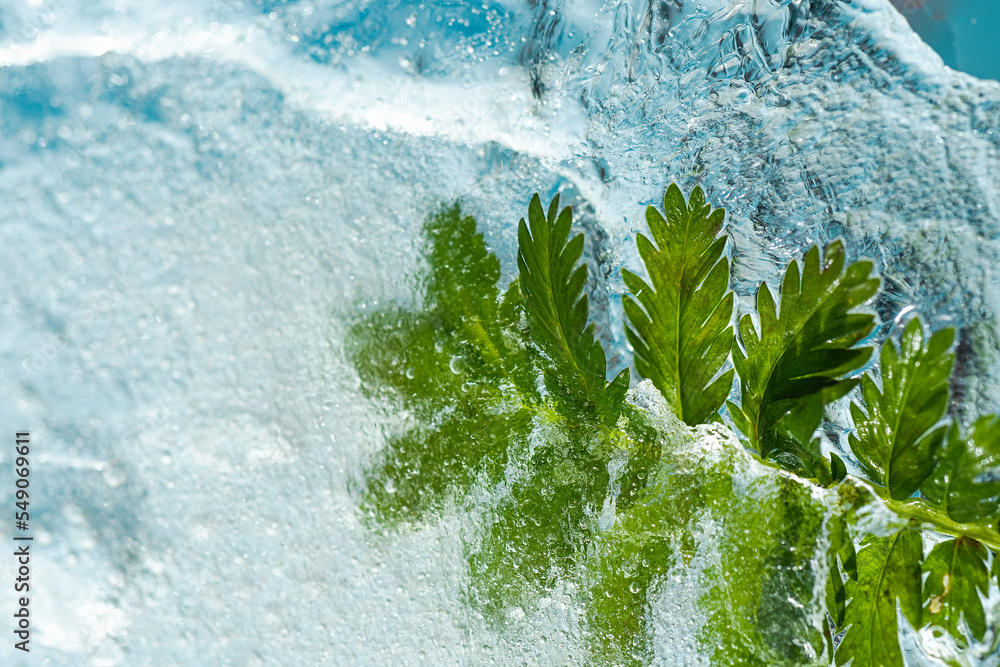 Frozen natural green plant, beautiful ice texture Stock Photo | Adobe Stock