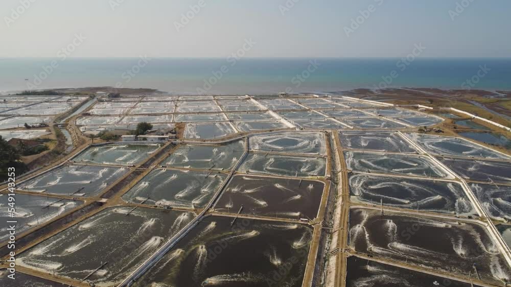 shrimp farm, prawn farming with with aerator pump oxygenation water ...