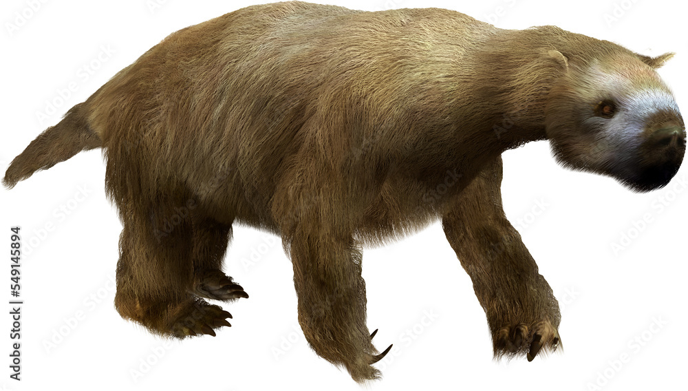 Megalonyx; Giant Ground Sloth on Transparent Background Stock ...