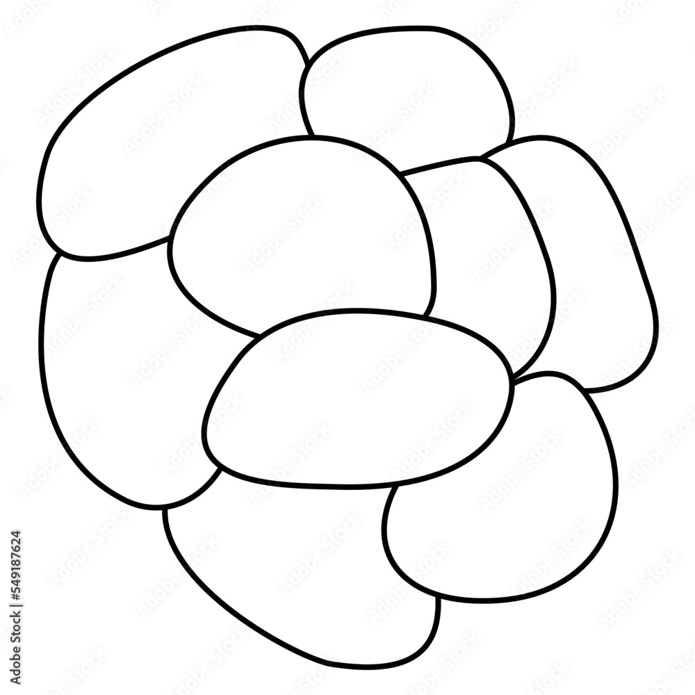 Adipocytes or lipocytes and fat cells. Modern minimal black thin line ...