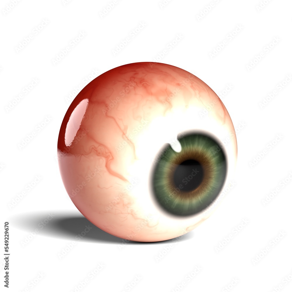 Side view of realistic human eyeball isolated on wihte background, 3D ...