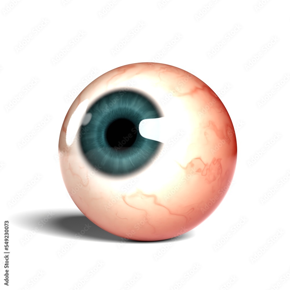 Side view of realistic human eyeball isolated on wihte background, 3D ...