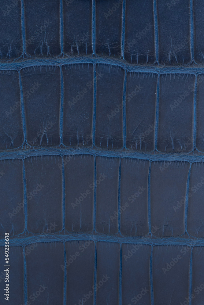 Blue alligator skin. crocodile leather texture background Stock Photo ...