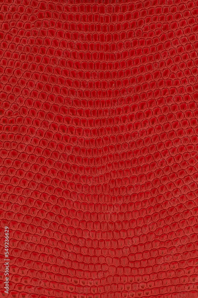 red lizard skin. reptile leather texture background Stock Photo | Adobe ...