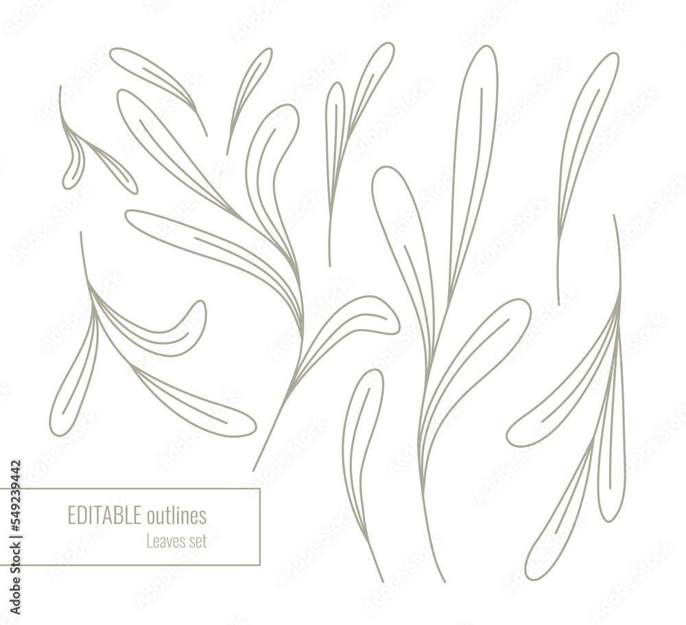 Set of many vector hand drawn contour leaves on white background ...