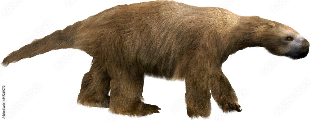 Megalonyx; Giant Ground Sloth on Transparent Background Stock ...