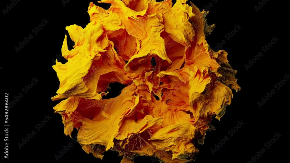 Yellow abstract particle flower opens, 3d animation, top view, has ...