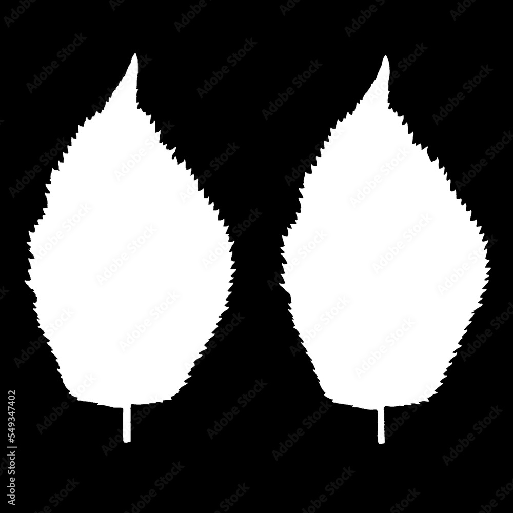 8K plant leaf opacity map texture. Leaf mask texture. Black and white ...