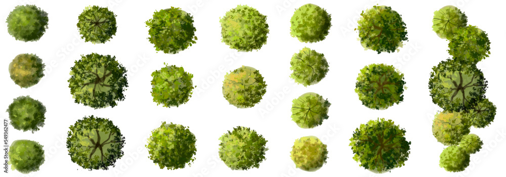 Vector set of tropical green tree side view isolated on white ...