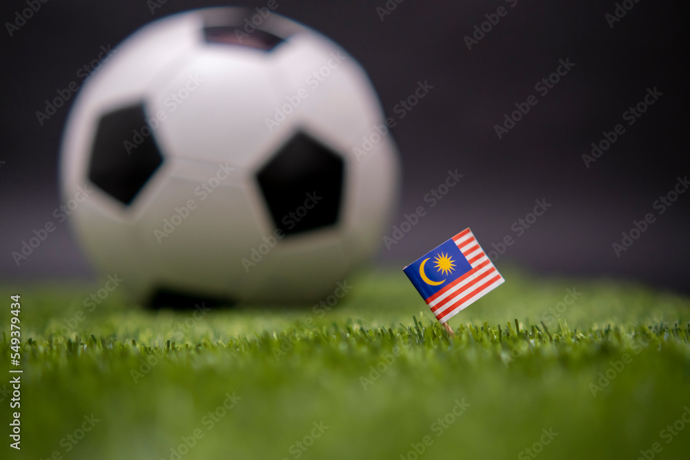 Malaysia flag and soccer ball on the football field. Football classic ...