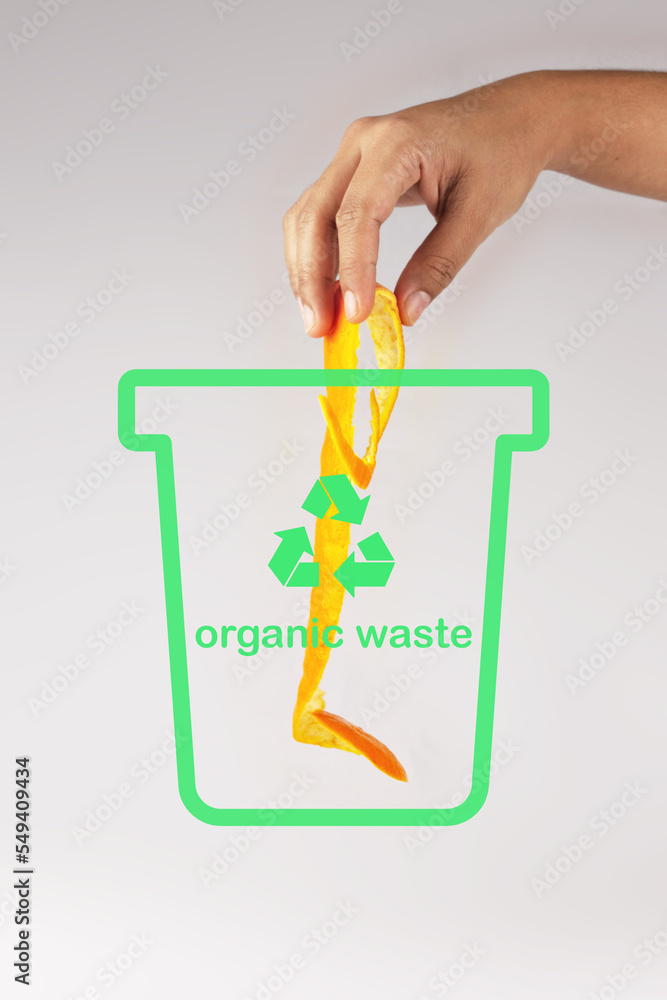 Hand holding an orange peel into a dumpster, green trash can with ...