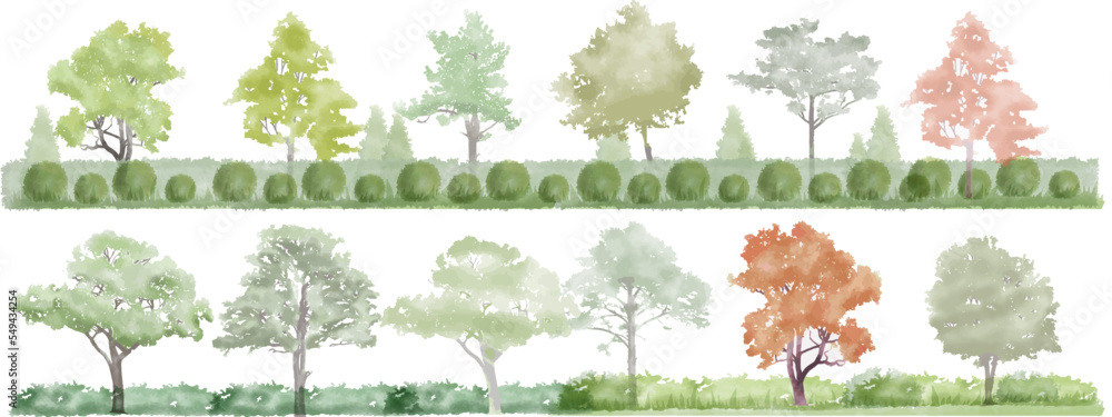 Vector illustration of an architectural tree for landscape design in a ...