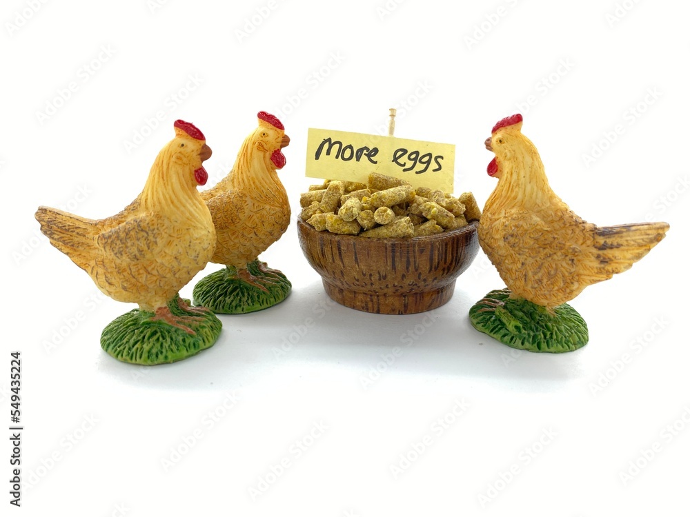 Concept, Chicken Performance issues, Enzyme and Digestibility for ...