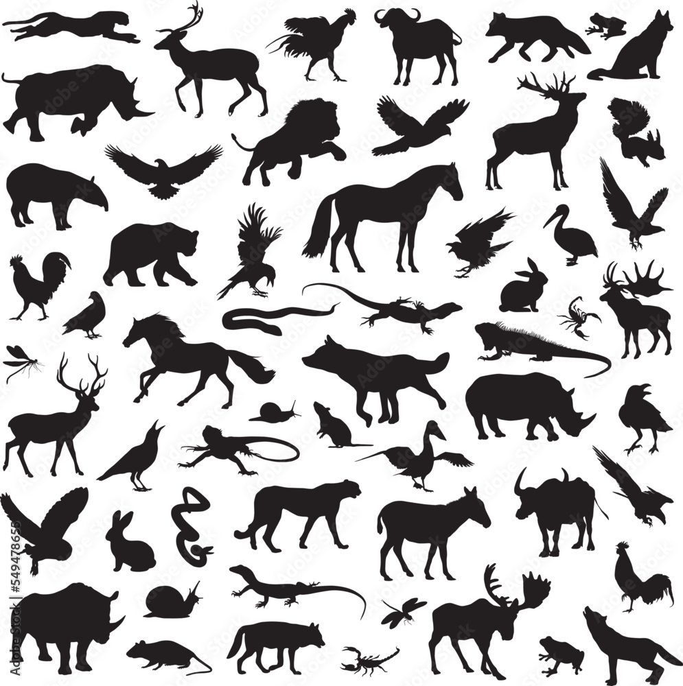 Forest Animal Silhouettes