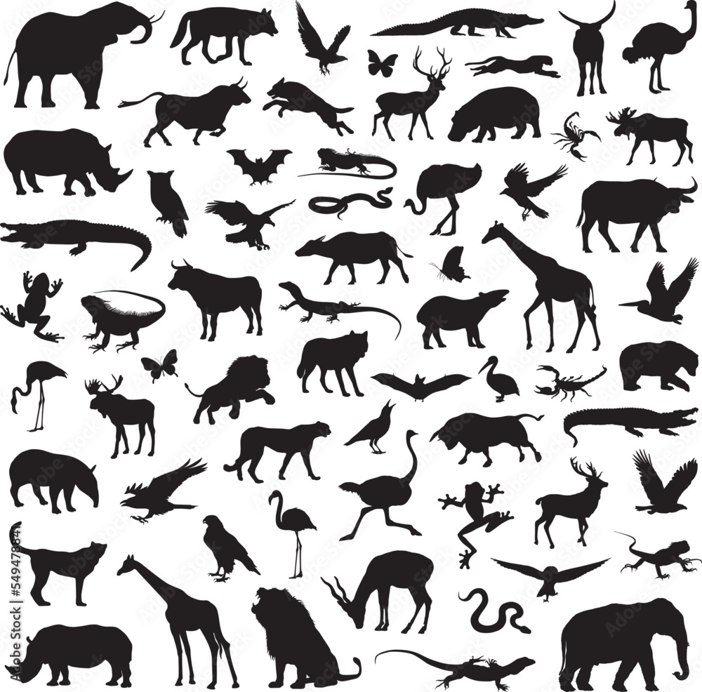 African Safari Clip Art
