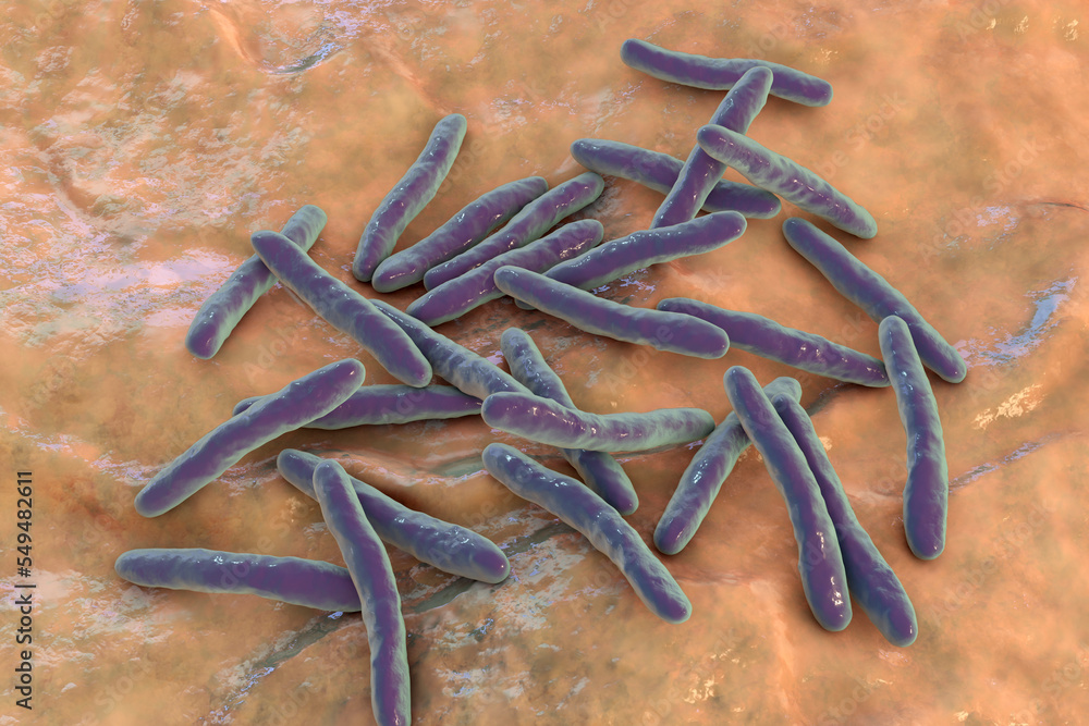 Bacteria Mycobacterium tuberculosis, the causative agent of tuberculosis Stock Illustration ...