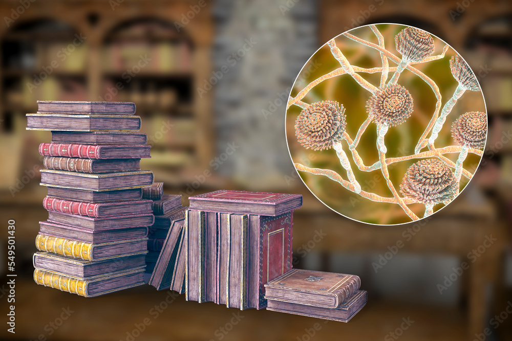 Mold in old books, conceptual 3D illustration. Antique books and close ...