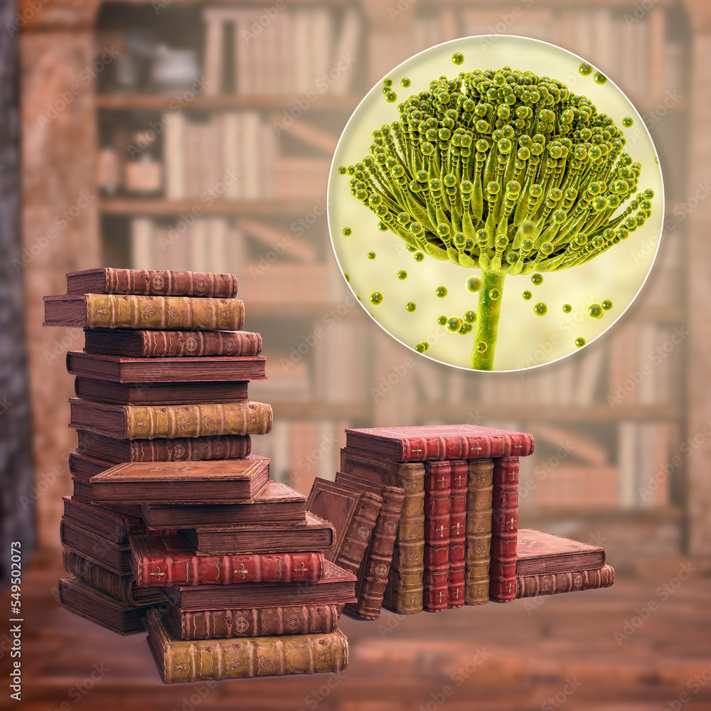 Mold in old books, conceptual 3D illustration. Antique books and close ...